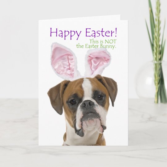 Funny Boxer Easter Card | Zazzle.com