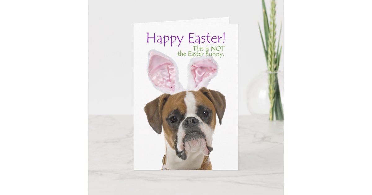 Funny Boxer Easter Card | Zazzle
