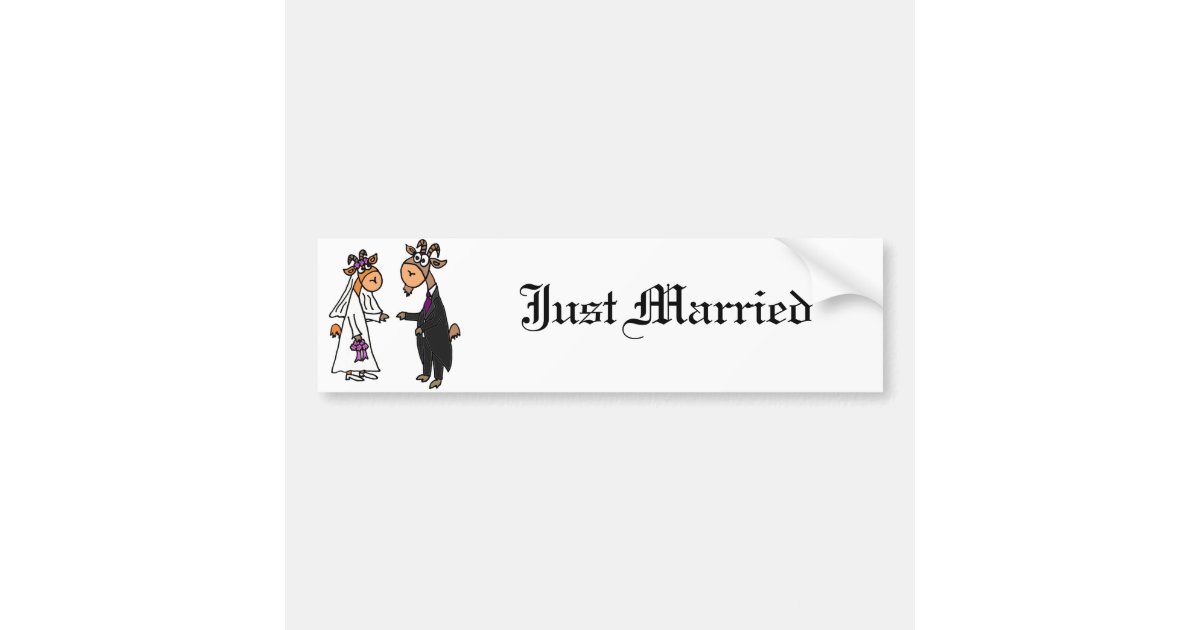 Funny Bride and Groom Goat Wedding Bumper Sticker | Zazzle