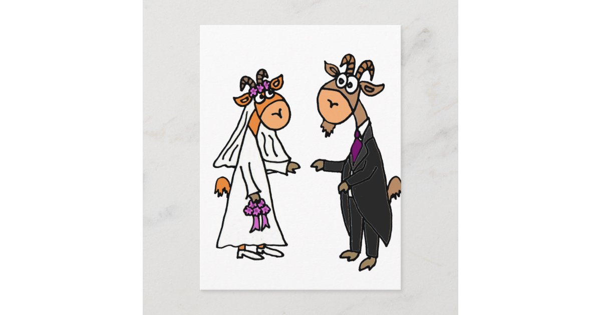 Funny Bride and Groom Goat Wedding Postcard | Zazzle