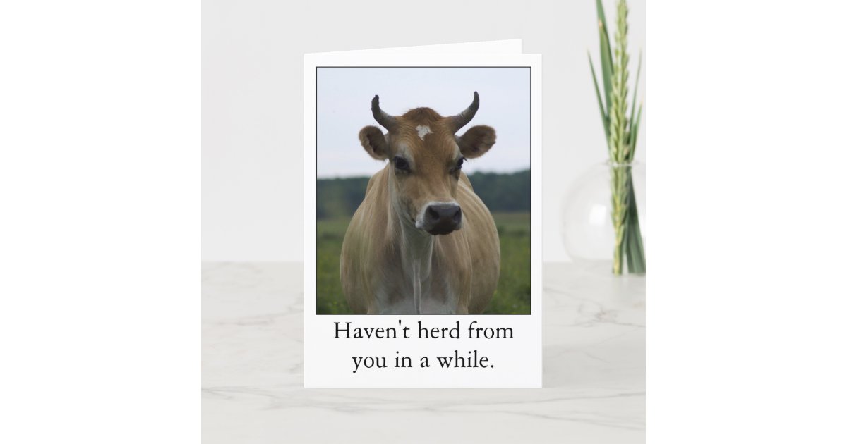 Funny Brown Cow greeting card | Zazzle