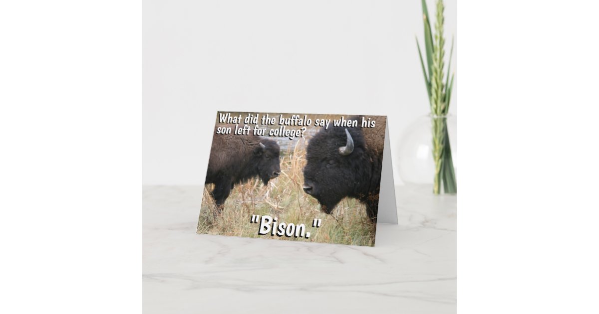 Funny Buffalo Goodbye Card | Zazzle