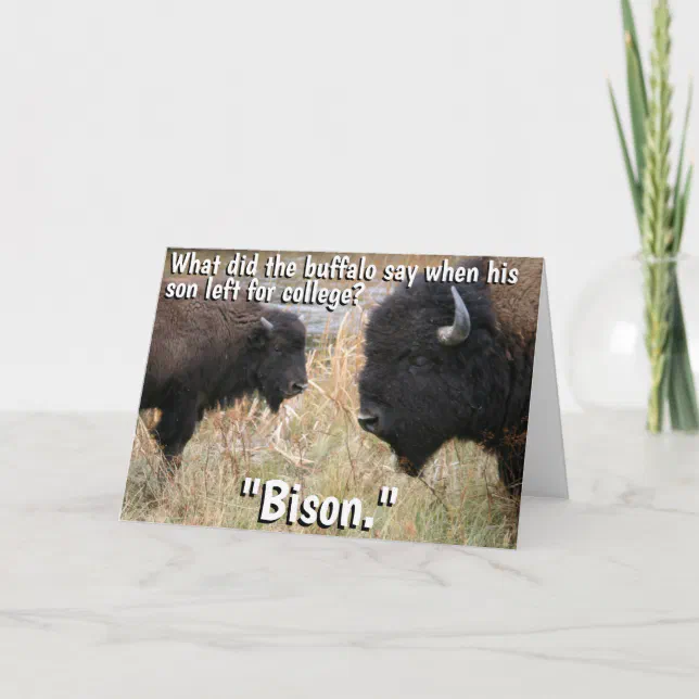 Funny Buffalo Goodbye Card | Zazzle