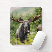 Funny Bull Moose Mouse Pad | Zazzle