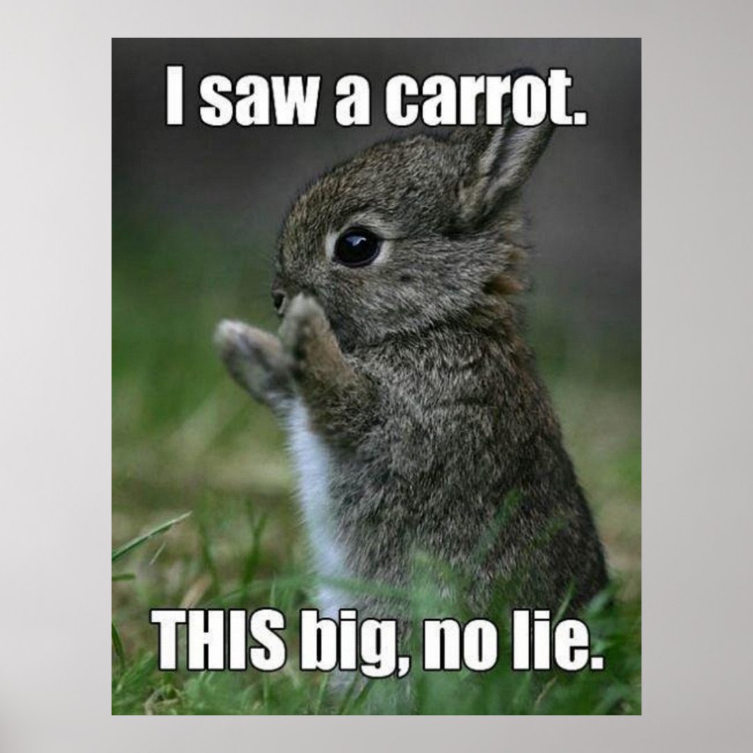 Funny Bunny Poster | Zazzle