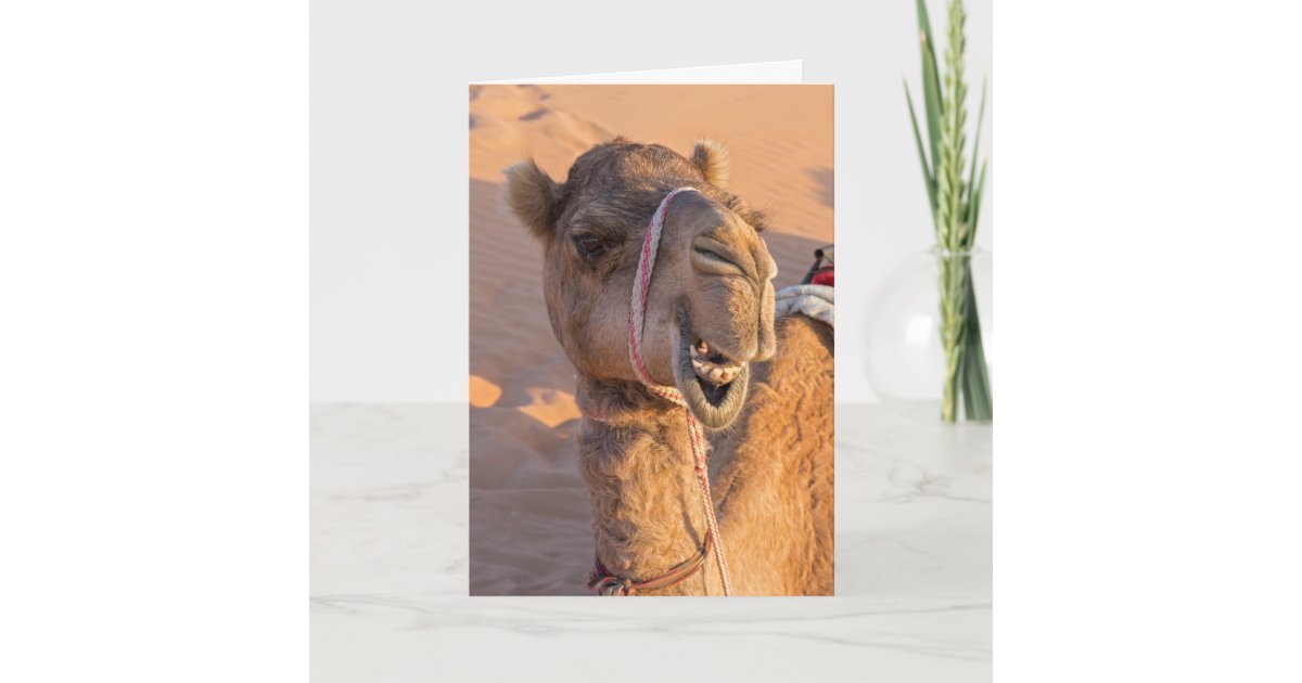 Funny Camel Card | Zazzle