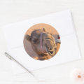 Funny Camel Classic Round Sticker | Zazzle