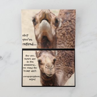 Funny Camel Hump Day Retirement Card | Zazzle