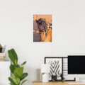 Funny Camel Poster | Zazzle