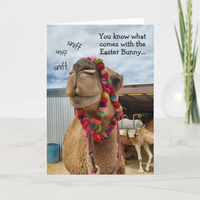 Funny Camel Waits For Bunny Easter Card | Zazzle