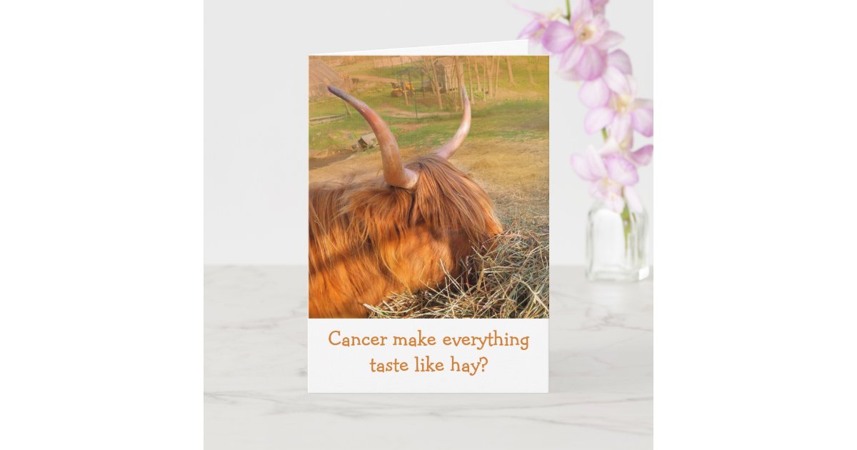 Funny Cancer Cattle Get Well Card | Zazzle