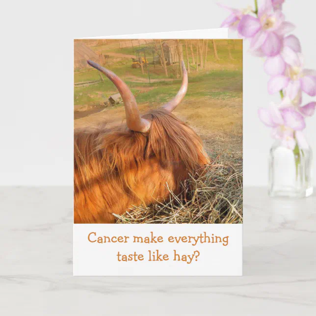 Funny Cancer Cattle Get Well Card | Zazzle