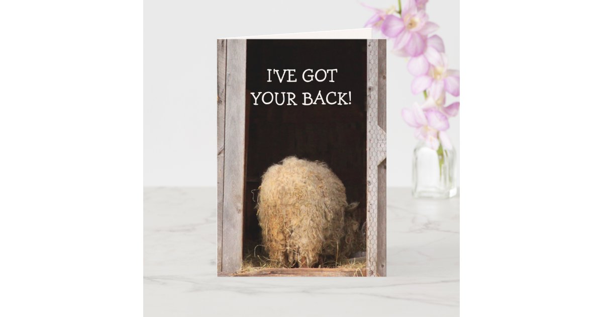Funny Cancer Encouragement Sheep Card | Zazzle