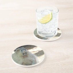 Funny Capybara Coaster | Zazzle
