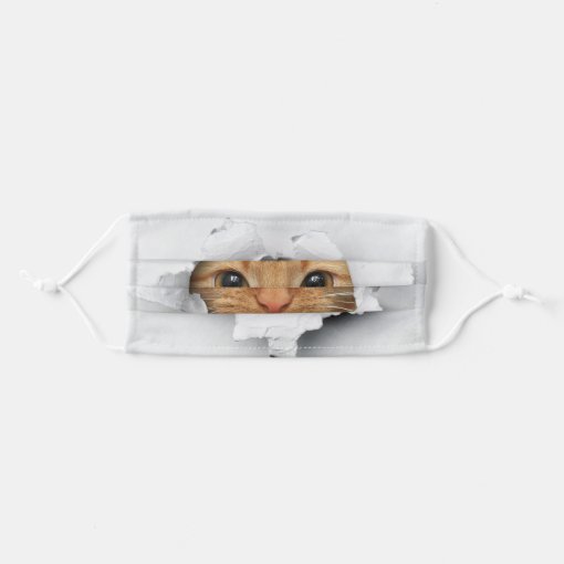 Funny Cat Adult Cloth Face Mask | Zazzle