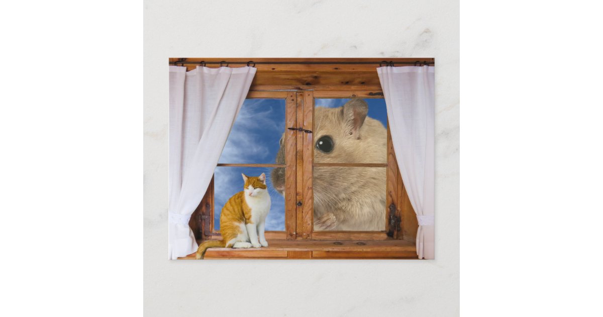Funny Cat and Mouse Postcard | Zazzle