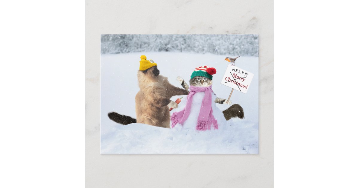 Funny Cat Christmas Greeting Card | Zazzle