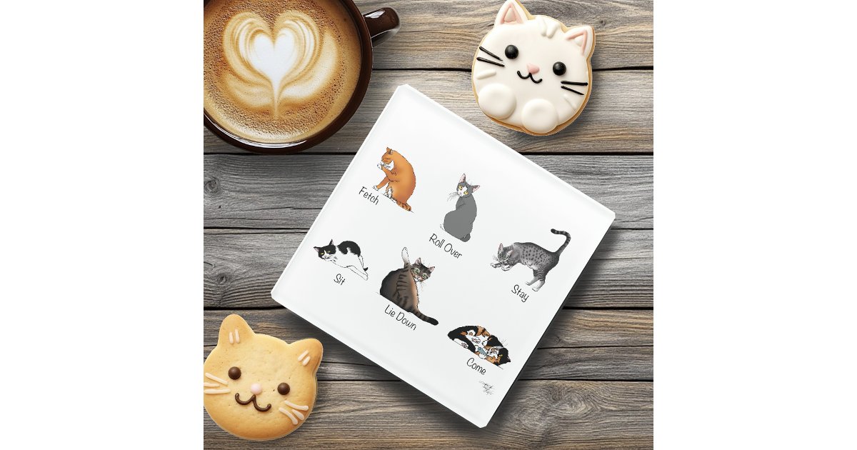 Funny Cat Commands Illustrated Training Chart Glass Coaster | Zazzle