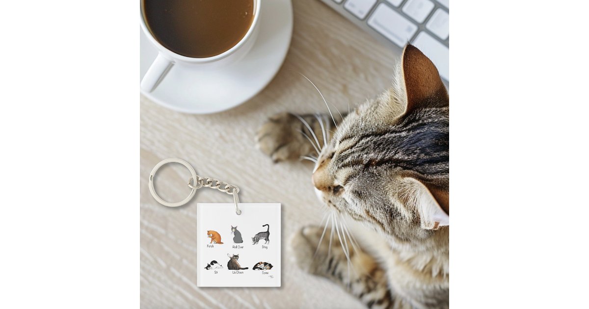Funny Cat Commands Illustrated Training Chart Logo Keychain | Zazzle