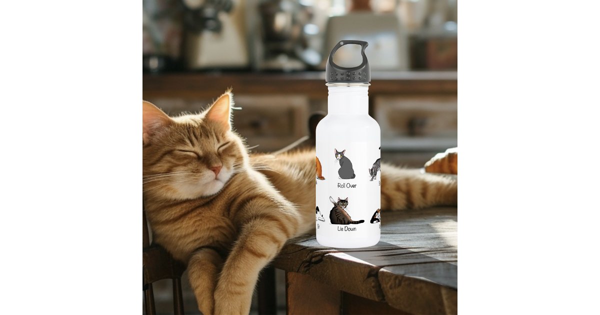 Funny Cat Commands Illustrated Training Chart Water Bottle | Zazzle