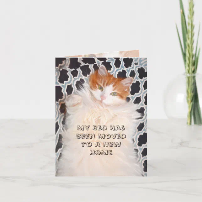 Funny Cat Cute Moving New Address Announcement | Zazzle