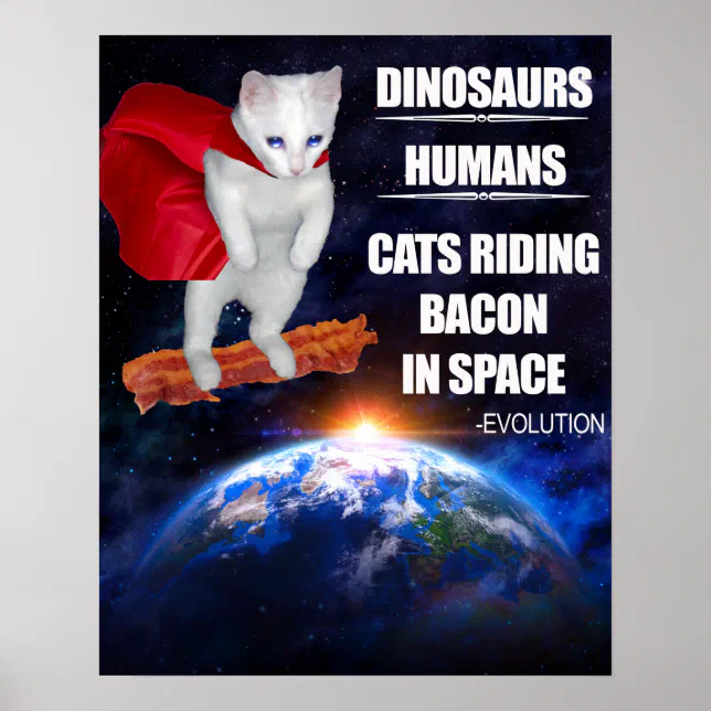 Funny Cat Evolution Poster Zazzle