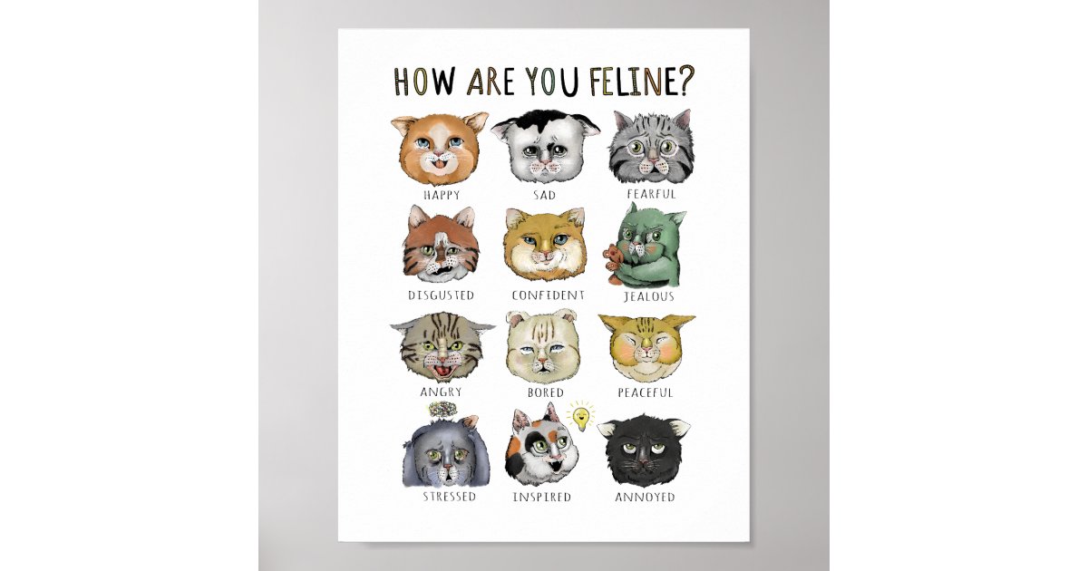 Funny Cat Feeling Chart How Are You Feline? | Zazzle