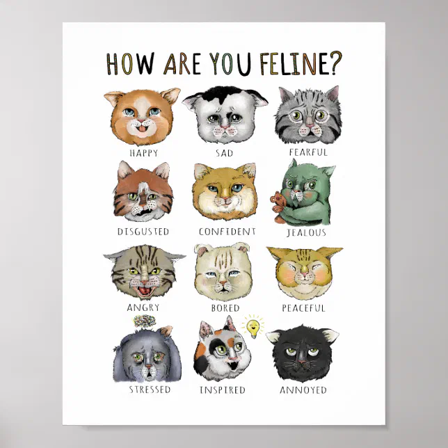 Funny Cat Feeling Chart How Are You Feline? | Zazzle
