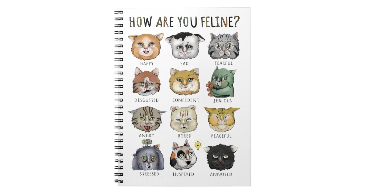Funny Cat Feeling Chart How Are You Feline? Notebook | Zazzle