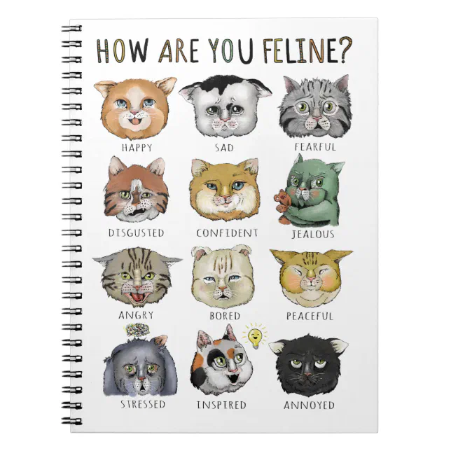 Funny Cat Feeling Chart How Are You Feline? Notebook | Zazzle