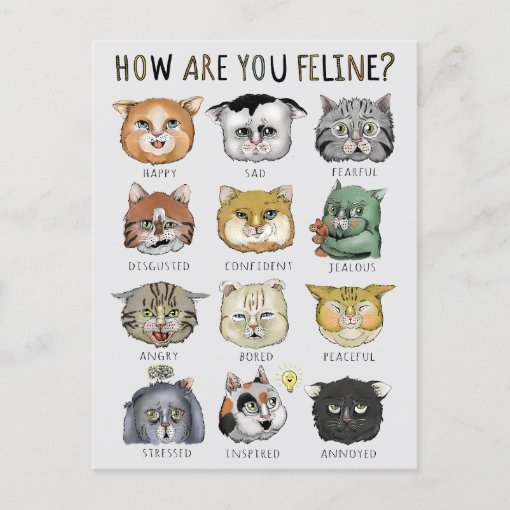 Funny Cat Feeling Chart How Are You Feline? Postcard | Zazzle