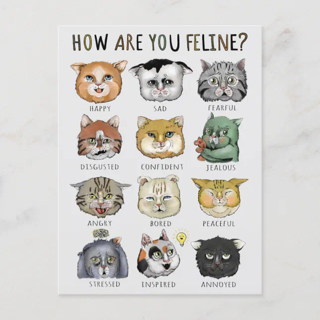 Funny Cat Feeling Chart How Are You Feline? Postcard | Zazzle