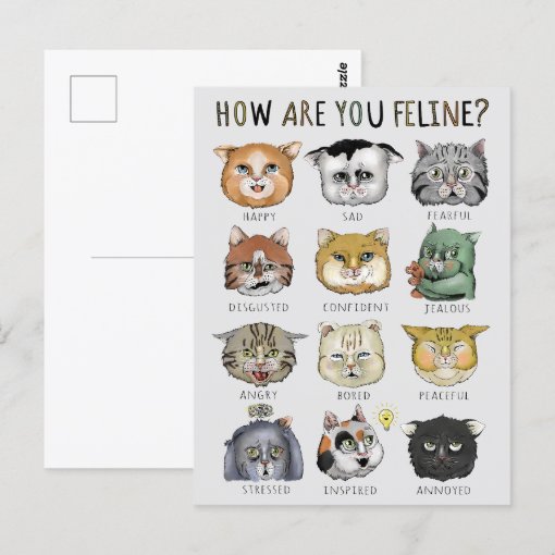 Funny Cat Feeling Chart How Are You Feline? Postcard | Zazzle