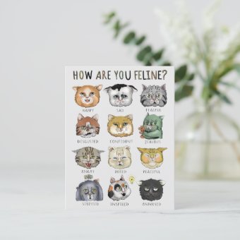 Funny Cat Feeling Chart How Are You Feline? Postcard | Zazzle