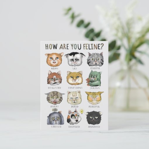 Funny Cat Feeling Chart How Are You Feline? Postcard | Zazzle