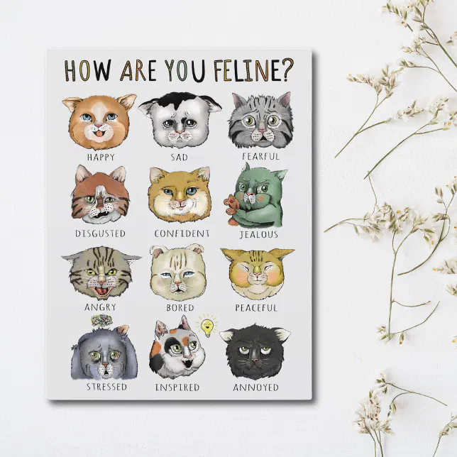 Funny Cat Feeling Chart How Are You Feline? Postcard | Zazzle