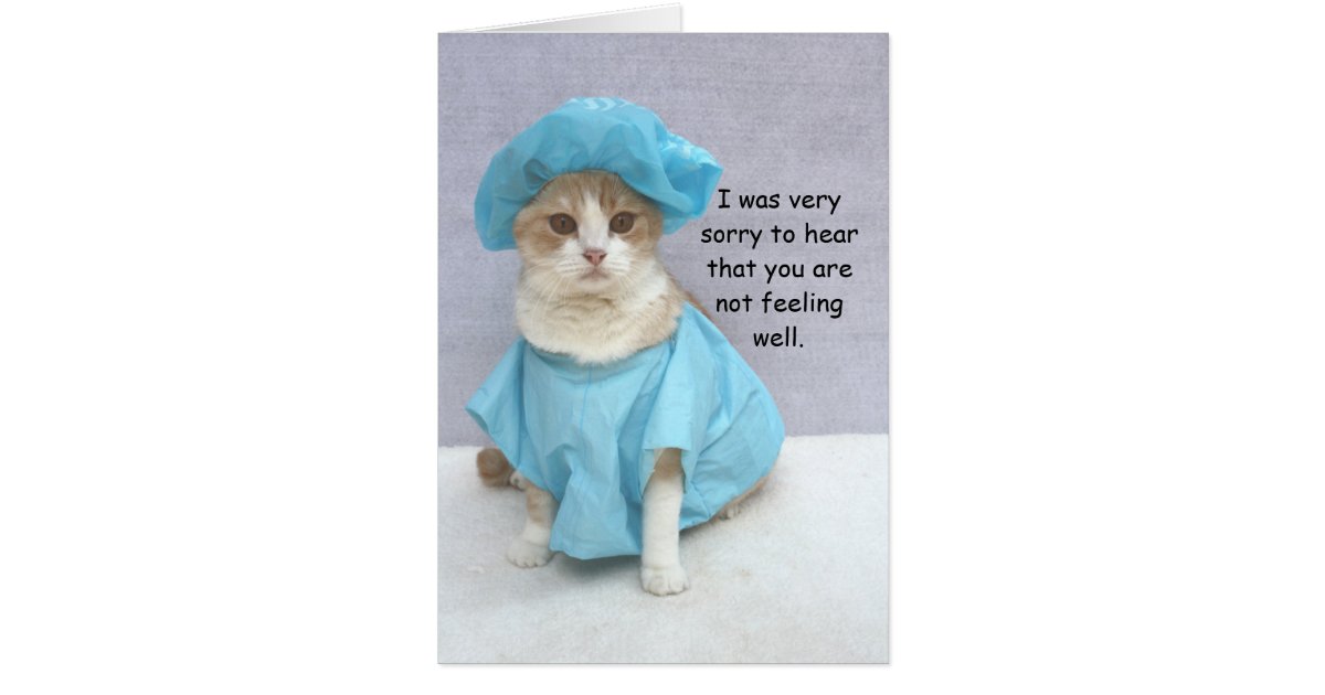 Funny Cat Get Well Card | Zazzle.com