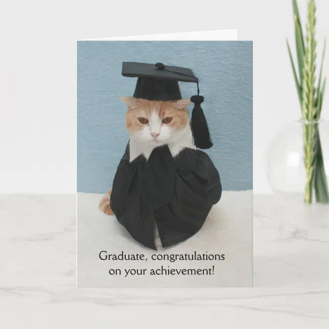 Funny Cat Graduation Card | Zazzle