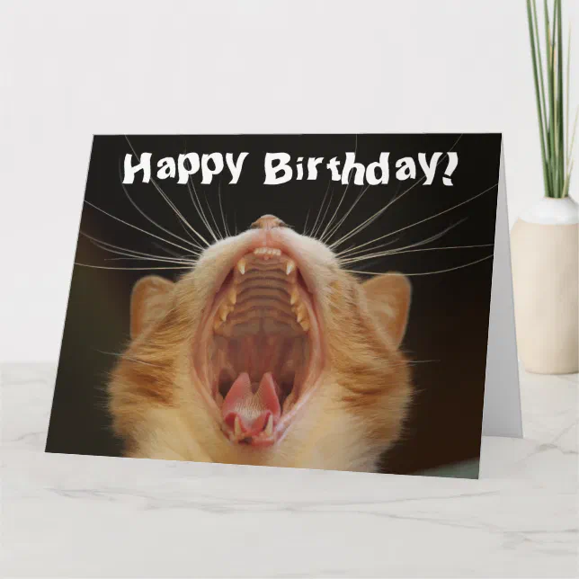 Funny Cat Happy Birthday Card | Zazzle
