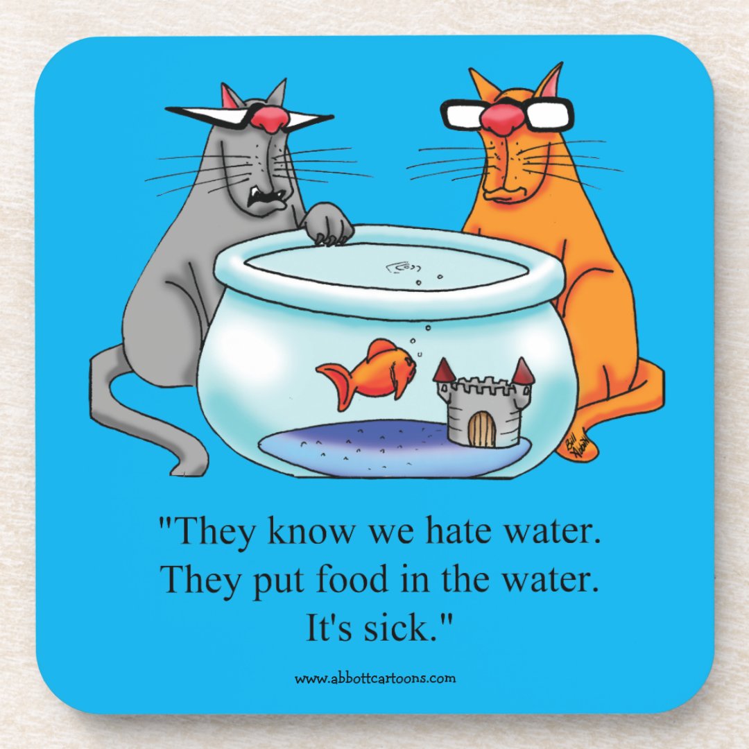 Funny Cat Humor Coaster Gift | Zazzle