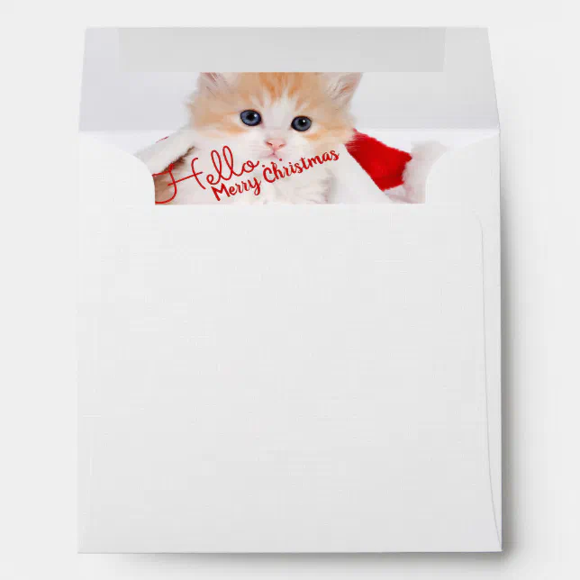 Funny Cat I Woke Up Like This Christmas Holiday Envelope | Zazzle