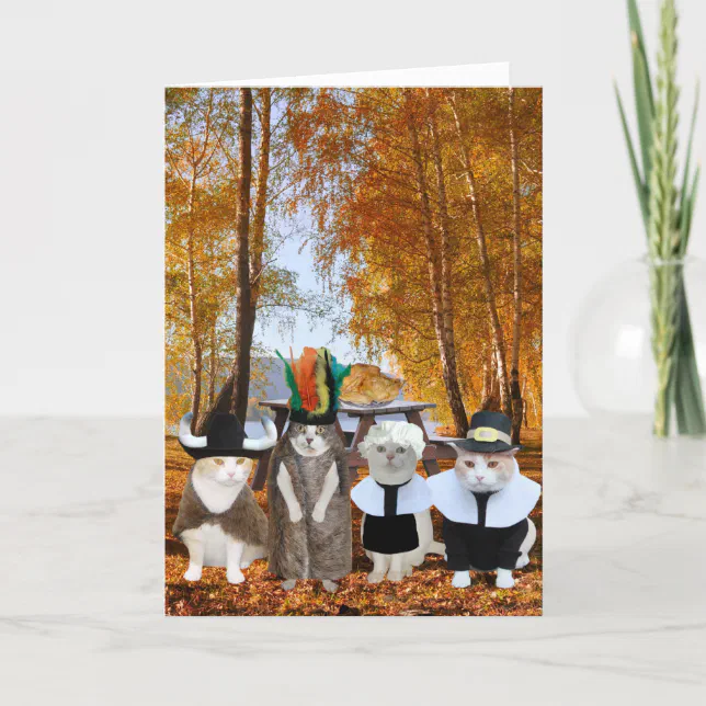 Funny Cat Lover Thanksgiving Card | Zazzle
