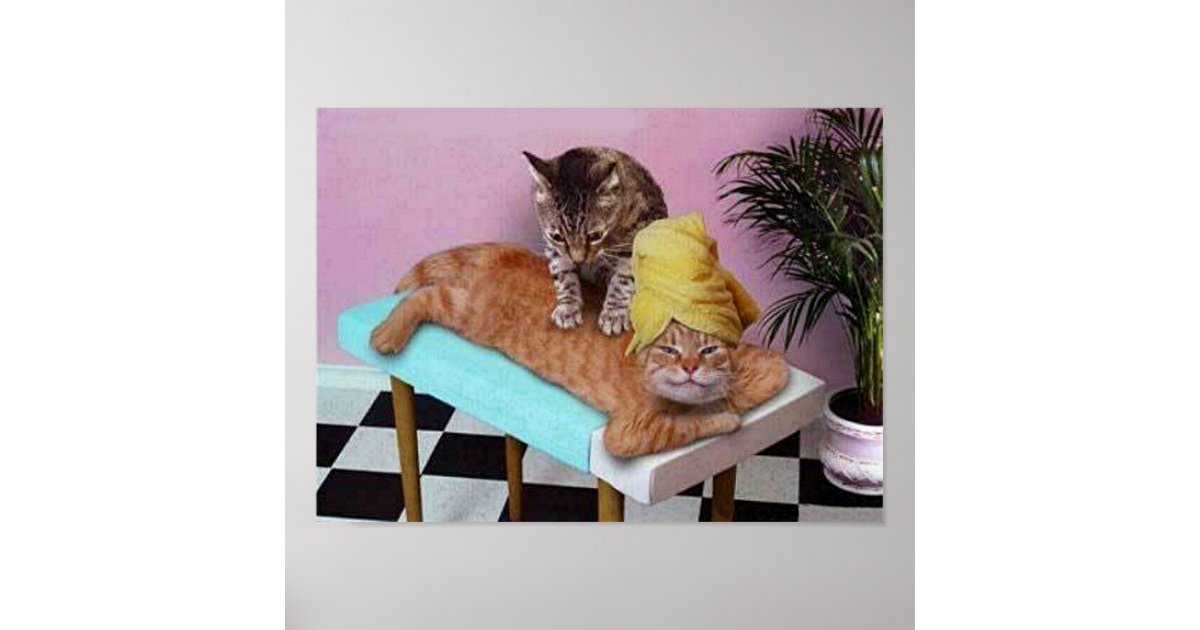 Funny Cat Massage Poster | Zazzle