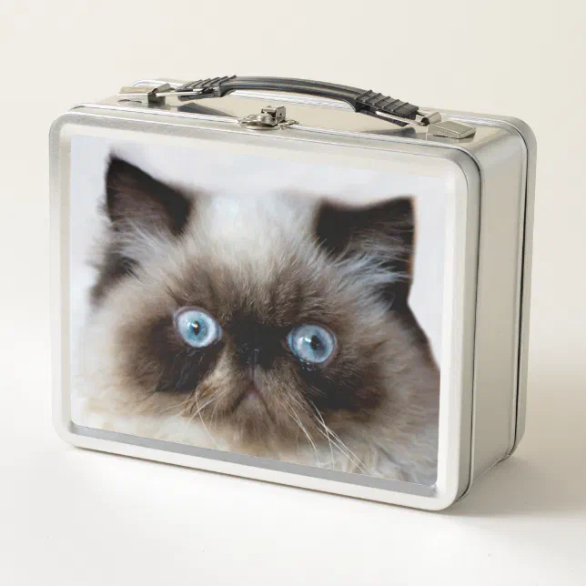 Funny Cat Metal Lunch Box | Zazzle