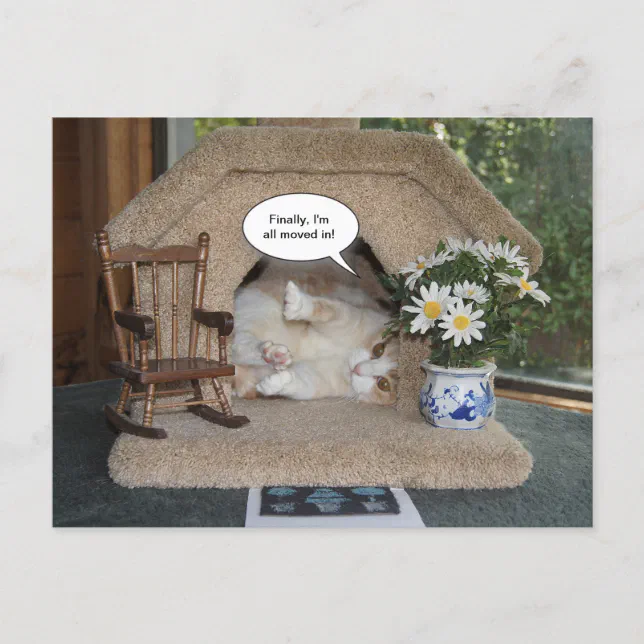 Funny Cat New Address Moved Announcement Postcard | Zazzle