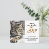 Funny Cat Photo Personalized Pet Moving Announcement Postcard | Zazzle