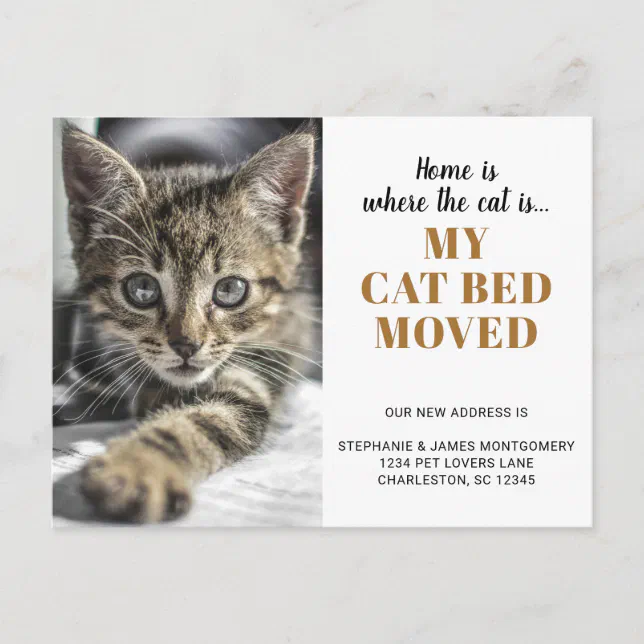 Funny Cat Photo Personalized Pet Moving Announcement Postcard | Zazzle
