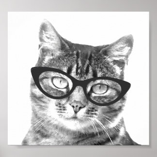 Funny Cat Posters | Zazzle
