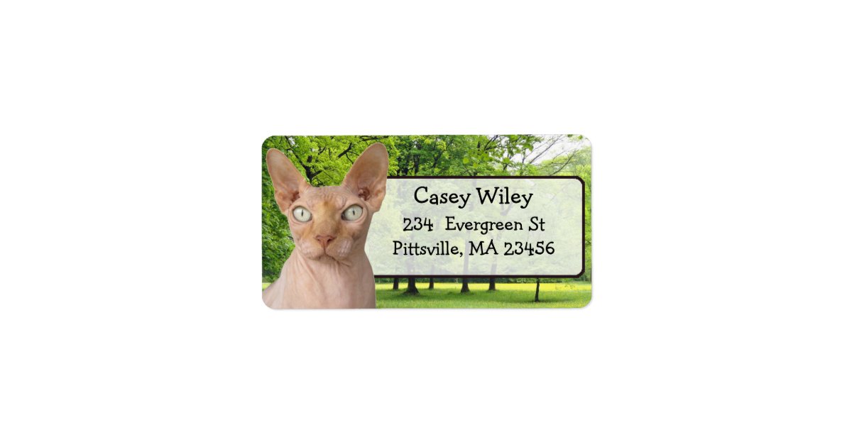 Funny Cat Photo Return Address Label | Zazzle
