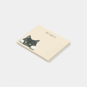 funny cat post it notes black cat | Zazzle